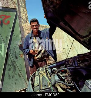 Morocco, Oriental region, Ain Sfa, Beni Snassen's Range, family Stock ...