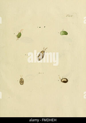 Entomostraca seu insecta testacea (Tab. V) (7514183172 Stock Photo - Alamy