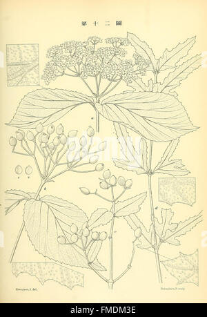 'Flora Sylvatica Koreana' is a botanical work documenting the native ...