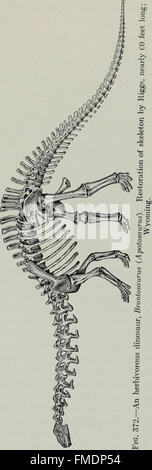 This 1907 publication provides an in-depth exploration of Florence ...