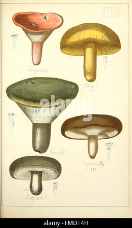 Plate XLVII from 'Histoire Naturelle des Oiseaux-Mouches' depicts ...