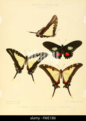 This publication features illustrations of new species of exotic ...