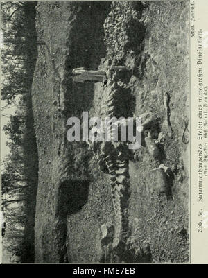 'Am Tendaguru' (1912) documents a German expedition to excavate ...