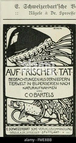The 1912 work 'Am Tendaguru' details a German expedition to excavate ...
