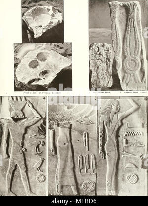 *Meydum and Memphis* (1910) explores the ancient Egyptian sites of ...