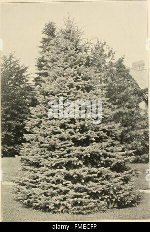 A 1909 catalog from Mount Hope Nurseries, detailing the varieties of ...