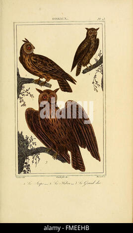 This historical work by Buffon focuses on the classification of birds ...