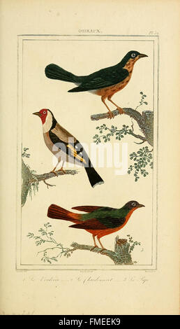 'Oeuvres Complètes de Buffon' (Pl. 25) is a collection of works by ...