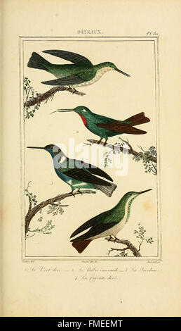 A work by Georges-Louis Leclerc, Comte de Buffon, covering various ...