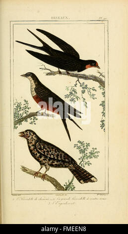 This work compiles the complete works of the French philosopher Denis ...