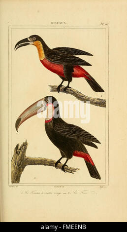 'Oeuvres Completes de Buffon' (Plate 79) is a collection of works by ...