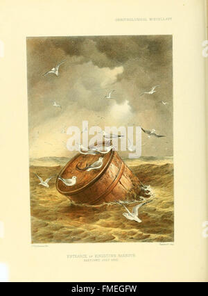 A compilation of various ornithological studies, focusing on bird ...