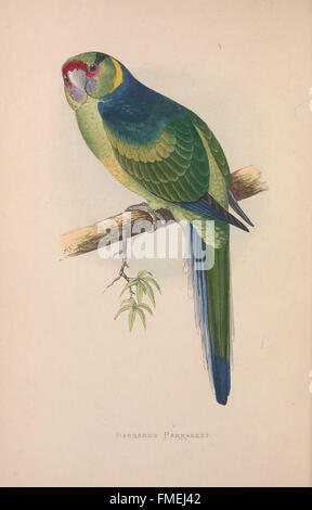 This plate illustrates various species of parrots in captivity ...
