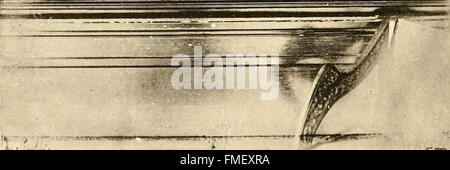The 'Red and White' Book of Menzies (1908) details the history and ...