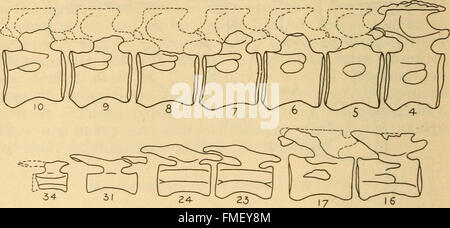 The American journal of science (1921 Stock Photo - Alamy