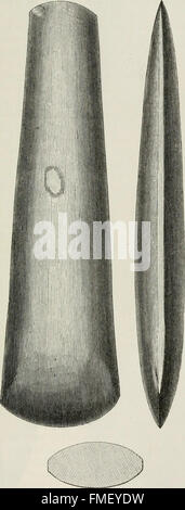'The Ancient Stone Implements, Weapons, and Ornaments of Great Britain ...
