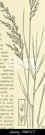 *The Book of Grasses* (1912) is an illustrated guide that provides ...