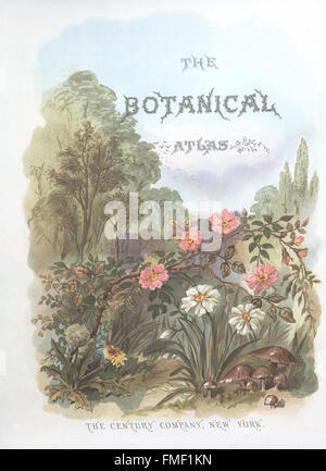 This atlas provides detailed illustrations and descriptions of alpine ...