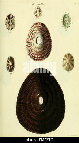 This work features colored illustrations of previously unillustrated ...