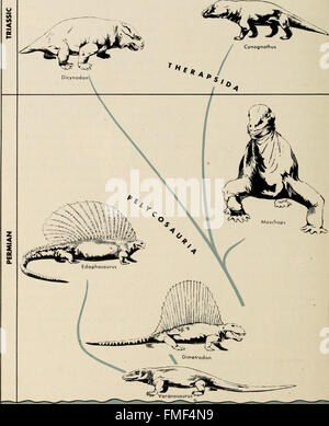 A 1951 publication detailing the prehistoric reptiles known as ...