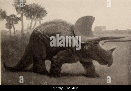 'The Dinosaur Book' (1951) explores the diversity of dinosaurs and ...