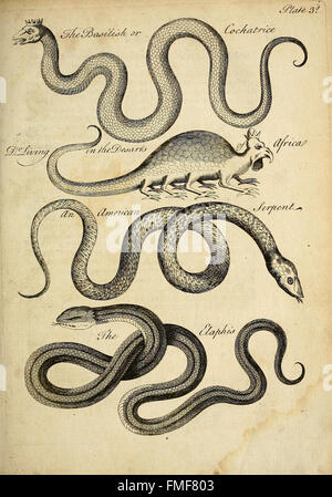 Plate 1 of 'An Essay Towards a Natural History of Serpents' provides ...