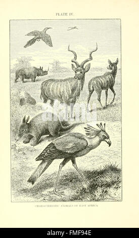 Plate X from 'The Geographical Distribution of Animals' provides an in ...