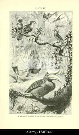 This plate illustrates the geographical distribution of animal species ...