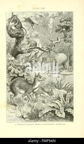 Plate X from 'The Geographical Distribution of Animals' provides an in ...