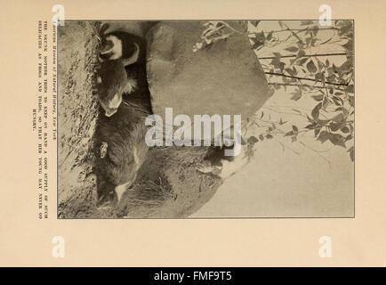 This work explores the emotional and behavioral connections between ...