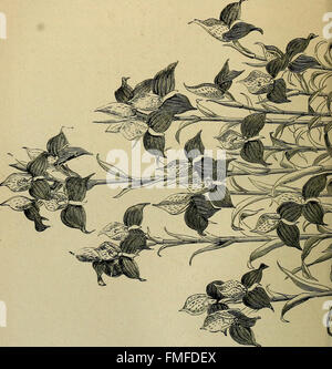 This manual provides illustrations and descriptions of various ...