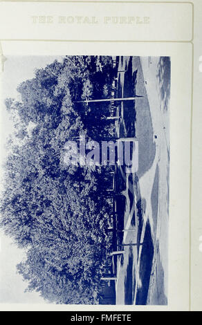 *The Royal Purple* (1920) explores the history and significance of the ...