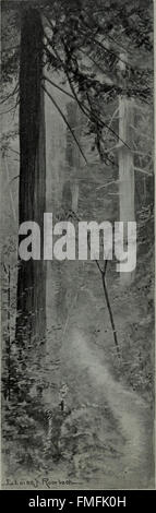 Western field (1905 Stock Photo - Alamy