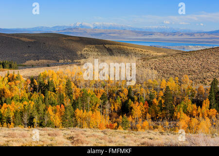 Beautiful fall color at Conway Summit, California Stock Photo - Alamy