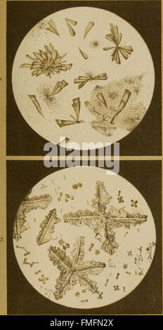 The 1871 'Atlas of Physiological and Pathological Urinary Sediments ...
