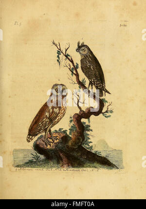 'The Bird World' provides a comprehensive overview of bird species from ...