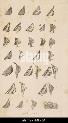 'A Monograph on the Sub-class Cirripedia' focuses on the study of ...