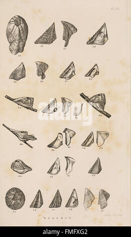 This monograph on the sub-class Cirripedia provides a detailed study of ...