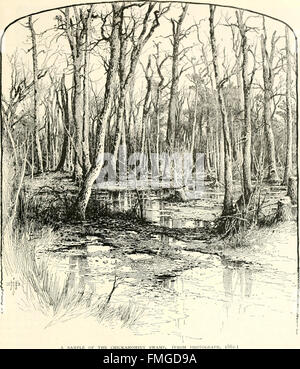 This work focuses on Abraham Lincoln's leadership during the Civil War ...