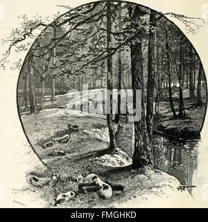 This 1886 publication explores the role of Abraham Lincoln in the key ...