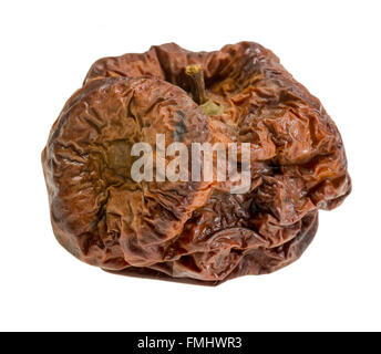 A rotten apple isolated in white background. Rotten apple concept ...