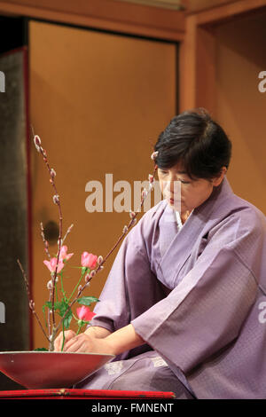 Japan; Kyoto; kado, flower arrangement Stock Photo - Alamy