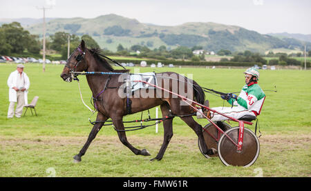 Harness horse racing at Tregaron,Ceredigion,Wales,U.K.,Europe Stock ...