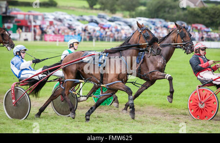 Harness horse racing at Tregaron,Ceredigion,Wales,U.K.,Europe Stock ...