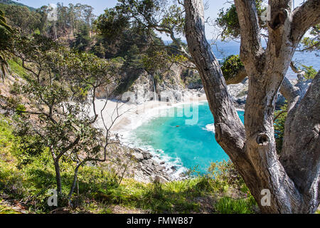 McWay waterfall trail, Julia Pfeiffer Burns State Park, Big Sur, CA ...
