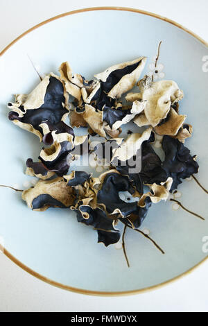Chinese funghi (Fungus Stock Photo - Alamy