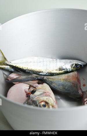 Seafood still life Stock Photo - Alamy