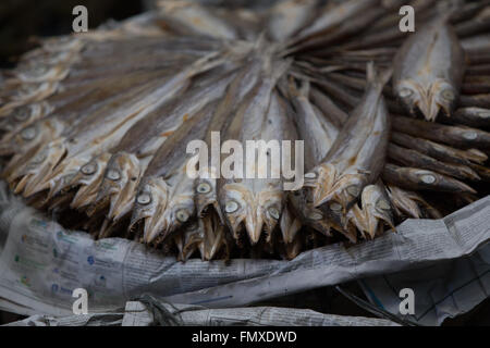 Tuyo, or dried fish, for sale at a market in Roxas, Oriental Mindoro ...