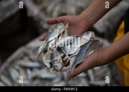 Tuyo, or dried fish, for sale at a market in Roxas, Oriental Mindoro ...