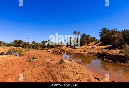 Water and Oasis in the Sahara Desert Stock Photo - Alamy